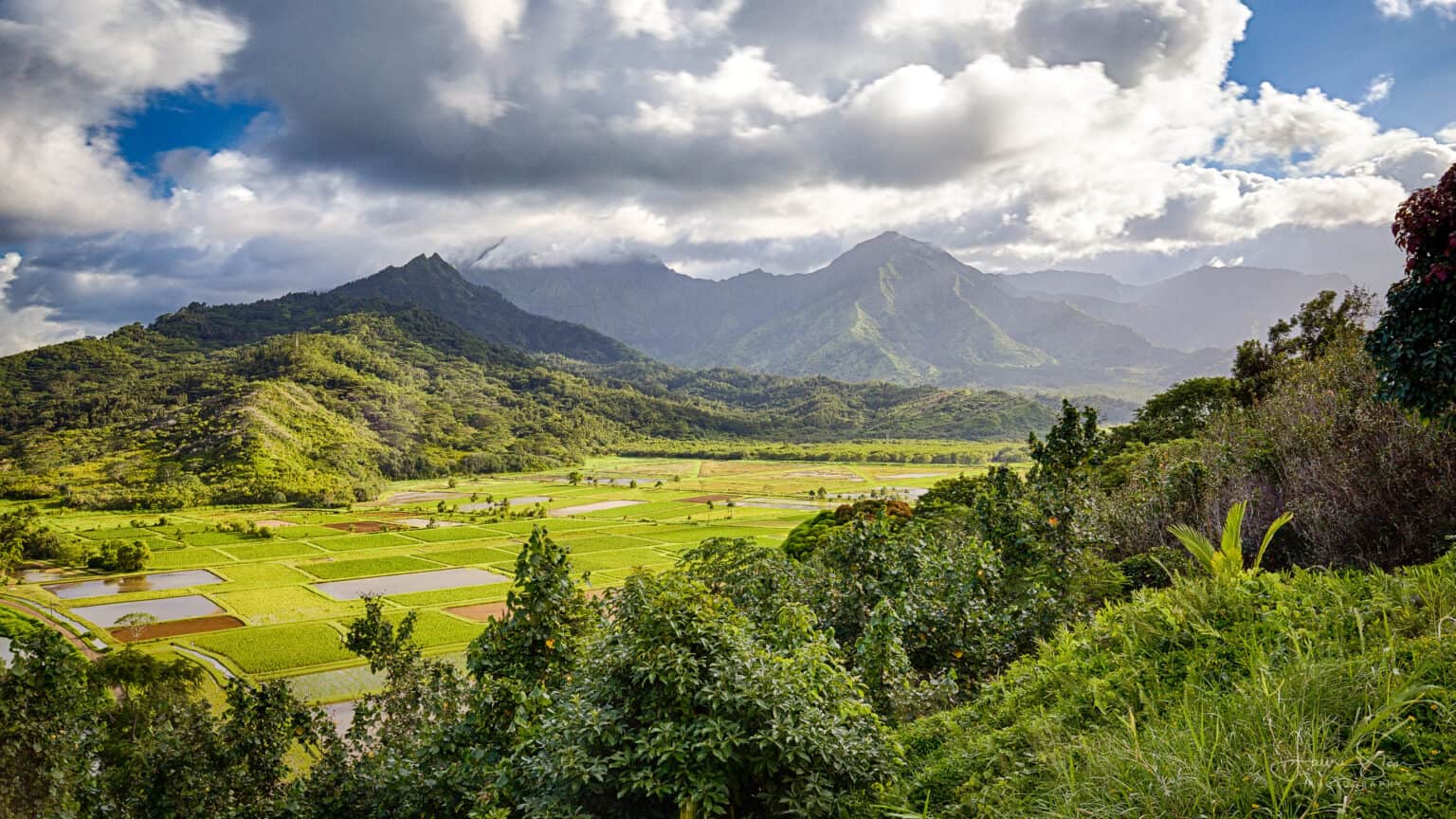 13 Reasons to Love The Cliffs at Princeville Kauai (+ Activities Close ...