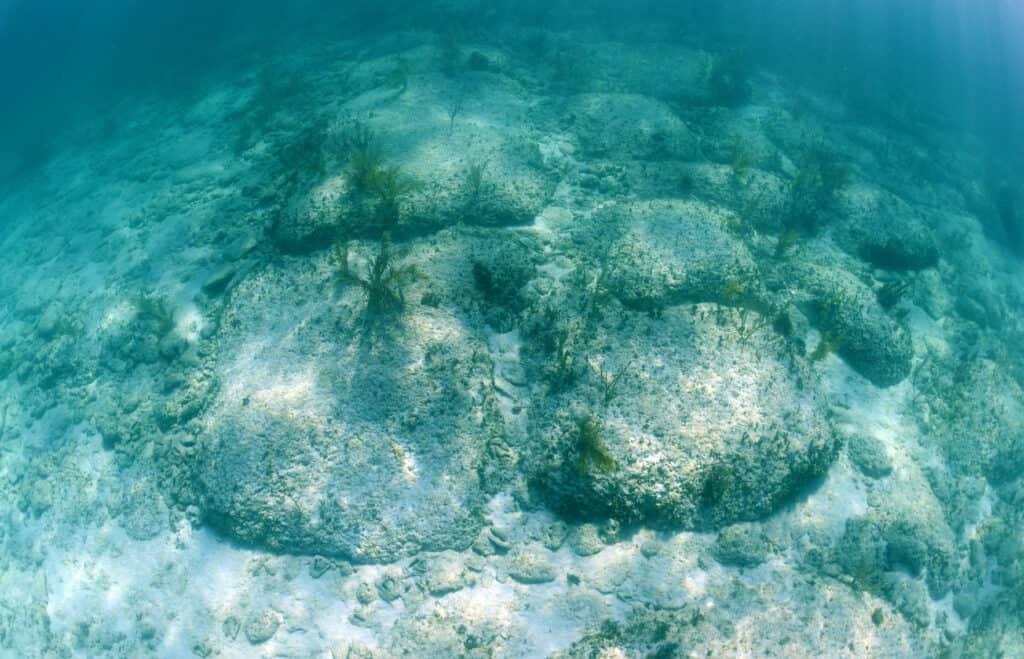 The Beautiful Bimini Bahamas: 8 Things To Do in This Less Crowded Gem ...